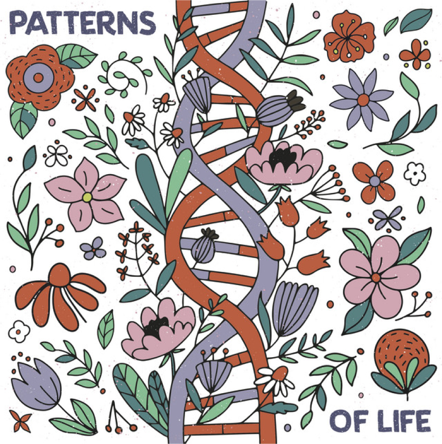 Patterns of Life | Paul Mottram